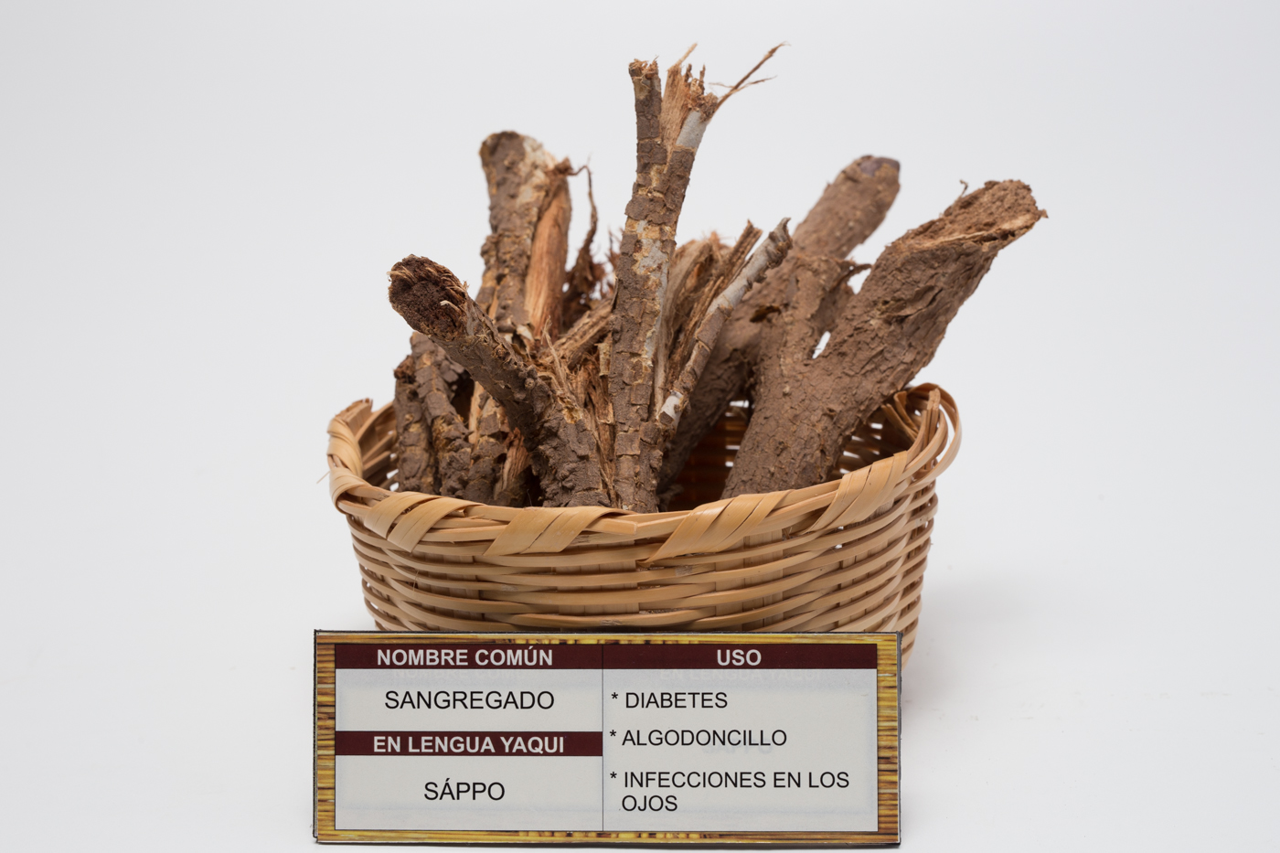 sappo – Museo de los Yaquis