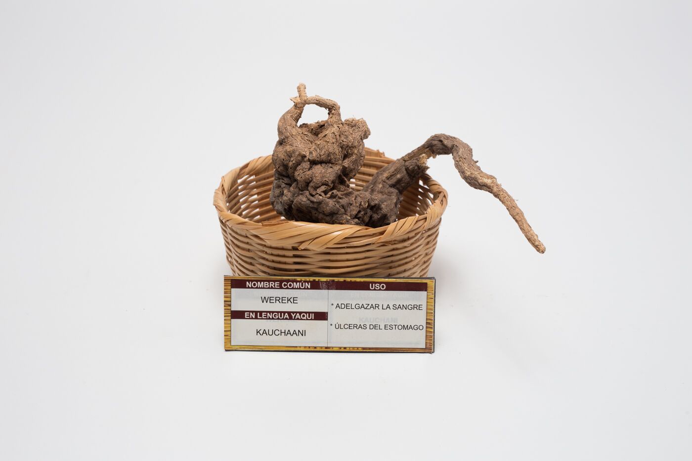 Wereke – Museo de los Yaquis